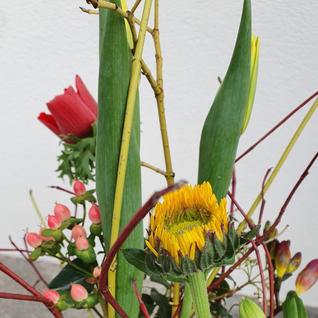 DIY Floristik Anleitung Frühlingsstrauss selber binden - Blumen Flora-Line