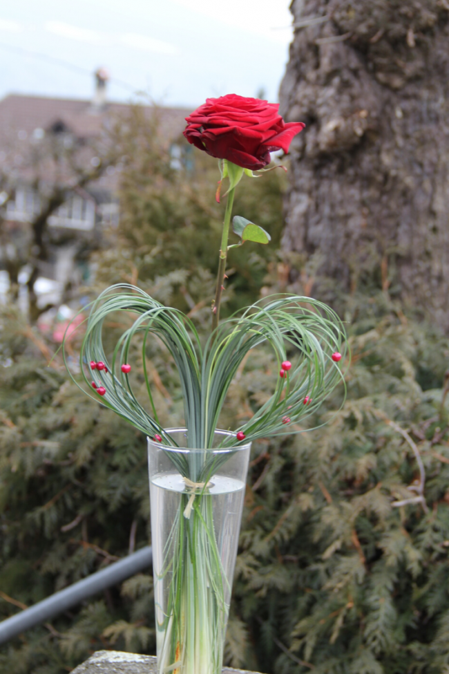 Rose mit Herz Geschenkidee Valentinstag - Blumen Flora-Line